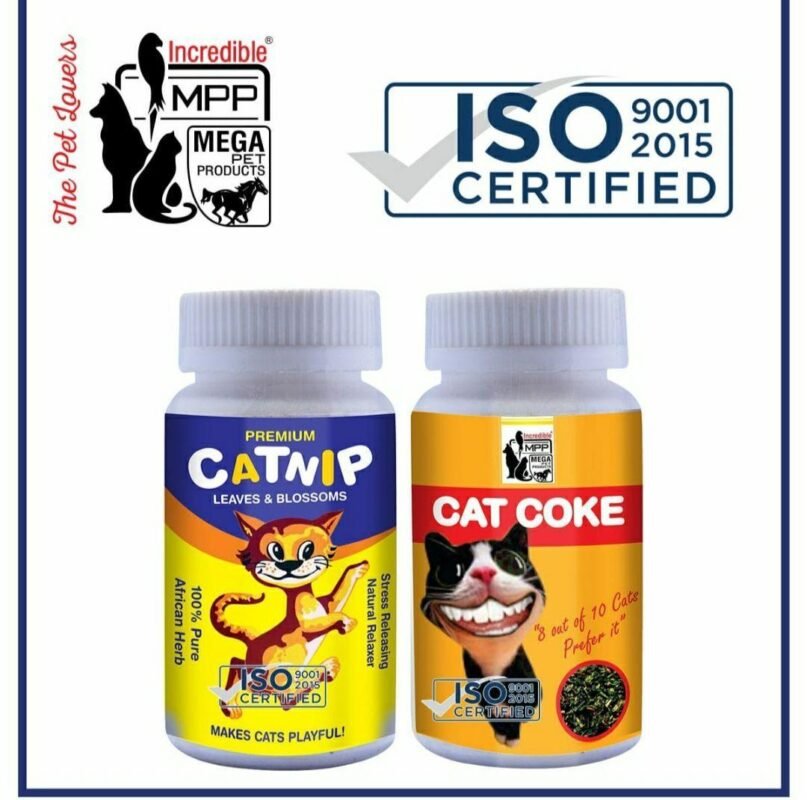 Mega Premium Catnip Powder - Petshub.pk